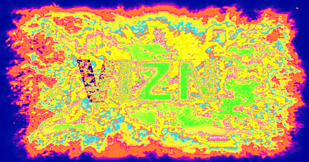 VIZN